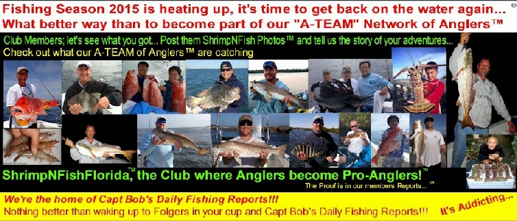 About ShrimpNFishFLorida