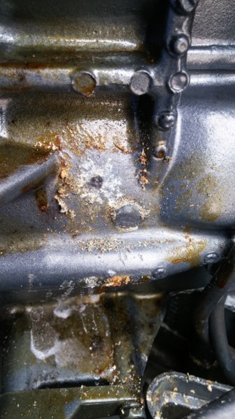 Yamaha Corrosion Issues. | ShrimpNFishFlorida™ is Florida's Official ...