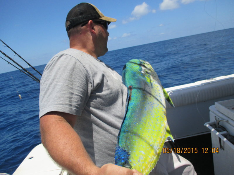 What's Your Personal Best Off-shore Fish Catch | ShrimpNFishFlorida™ is ...