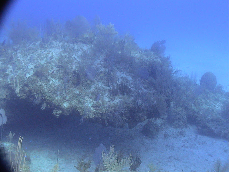 Club Articles - Why Fish, Structure, Ledges, Slopes, Inclines, Peaks ...