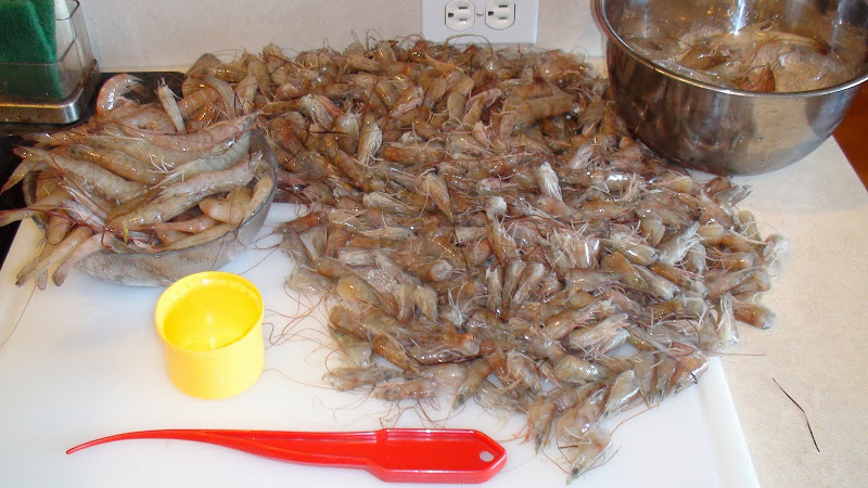 How To Clean Shrimp The Easy Way | ShrimpNFishFlorida™ is Florida's ...