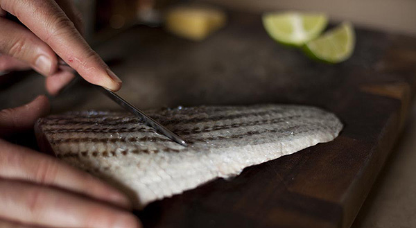 Perfect Pan Seared Fish | ShrimpNFishFlorida™ is Florida's Official ...